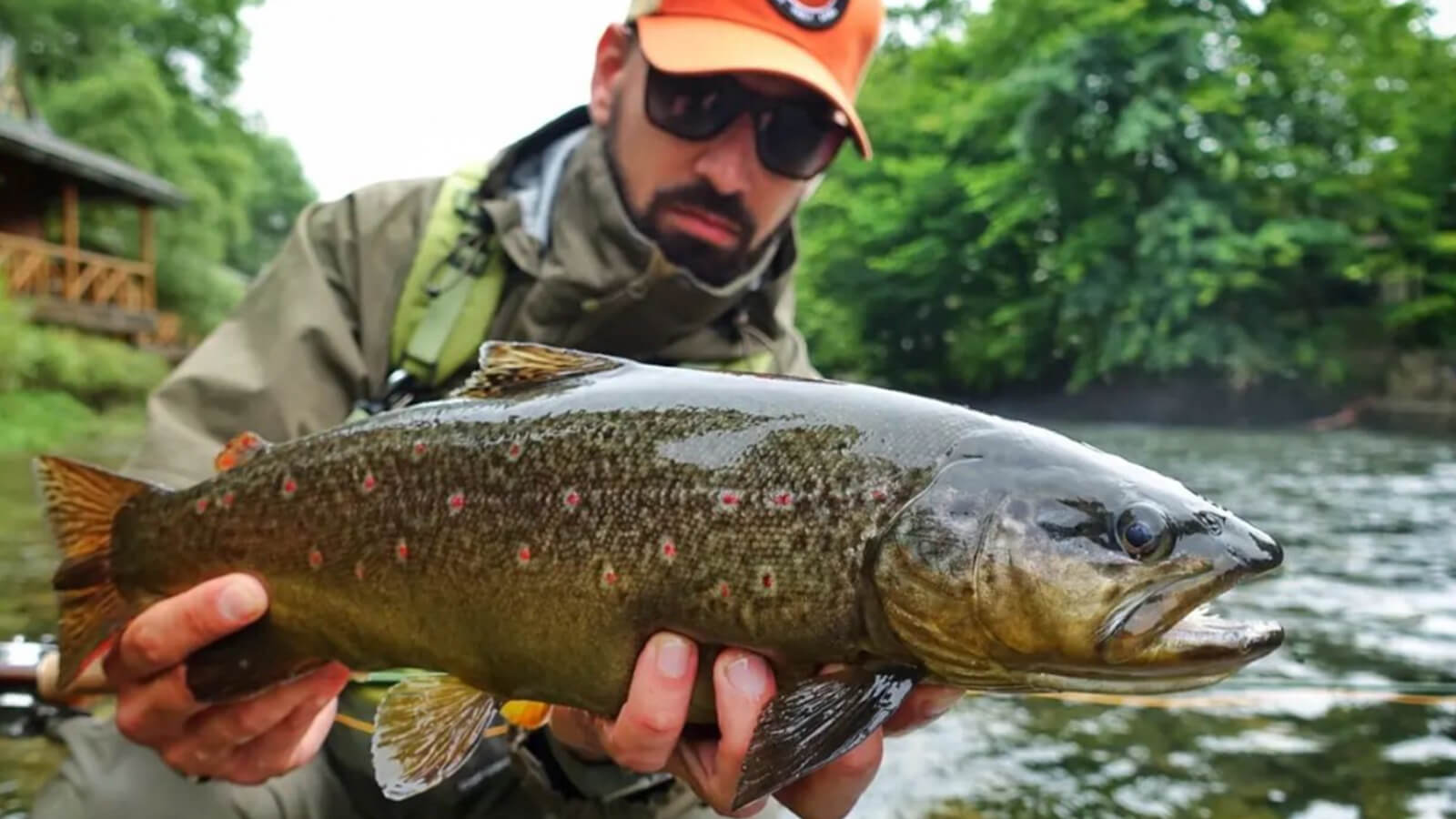 Trip2Fish – Your way to be more efficient